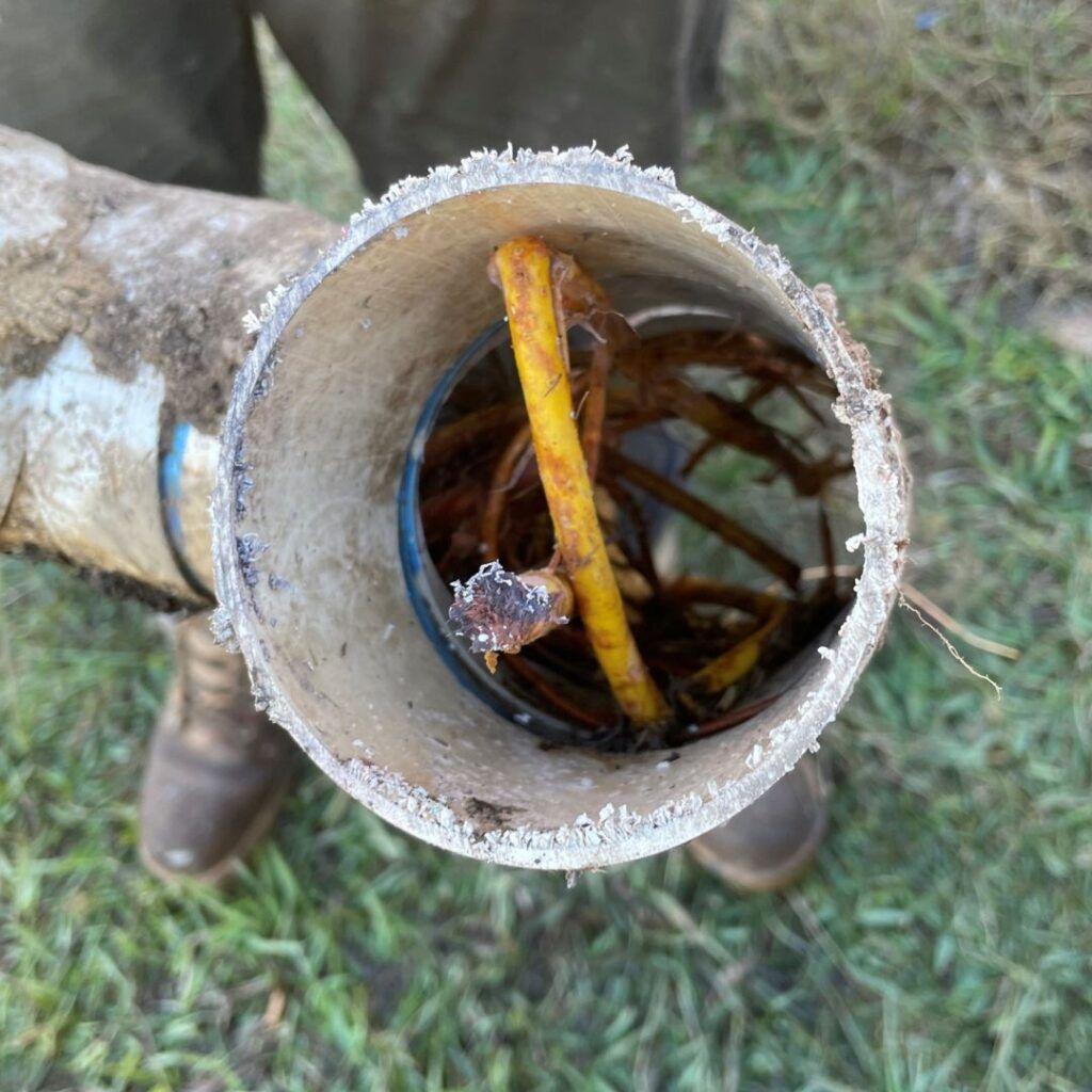 10 Common Causes of Blocked Drains and How to Fix Them - Parker ...